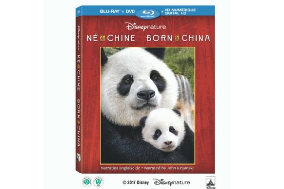 Disneynature's Born In China Blu-ray Release Giveaway - Ask Mama MOE